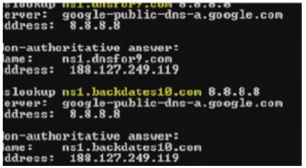 MCAFEE labs desmantela Beebone, el botnet polimórfico
