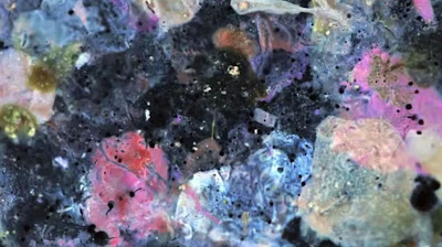 real life is elsewhere: john knuth - fly paintings