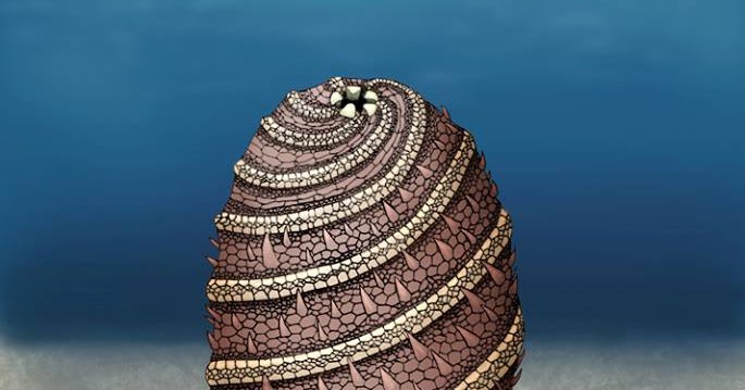 TIERRA DE DINOSAURIOS: Encuentran un nuevo equinodermo de hace más de ...