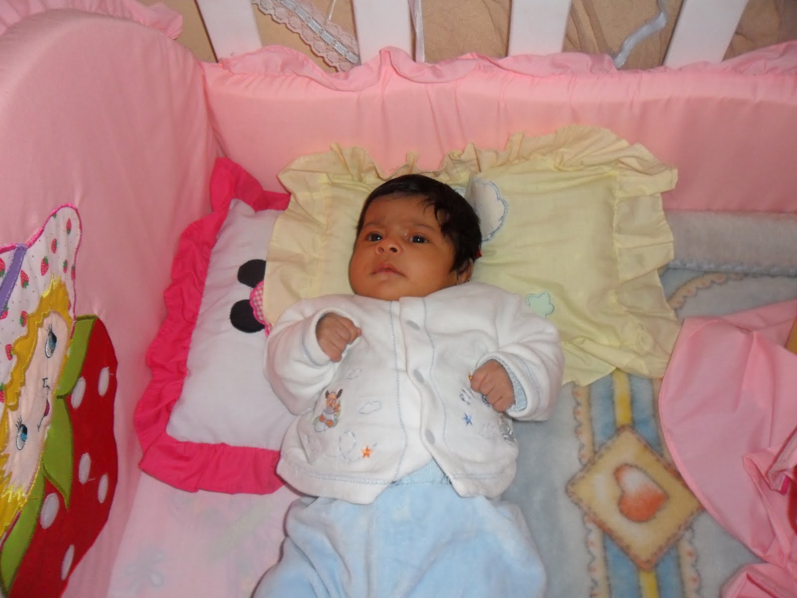 La niña consentida: El nacimiento de un bebé: Un reto emocionante y a ...