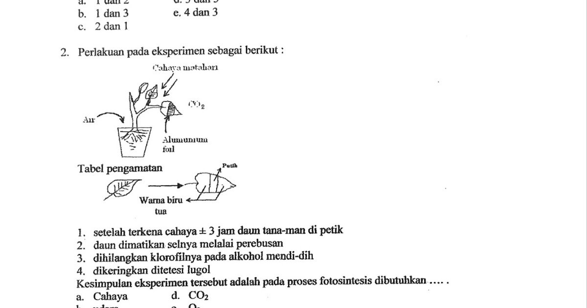 ULANGAN METABOLISME SEL 1 - Biology Page