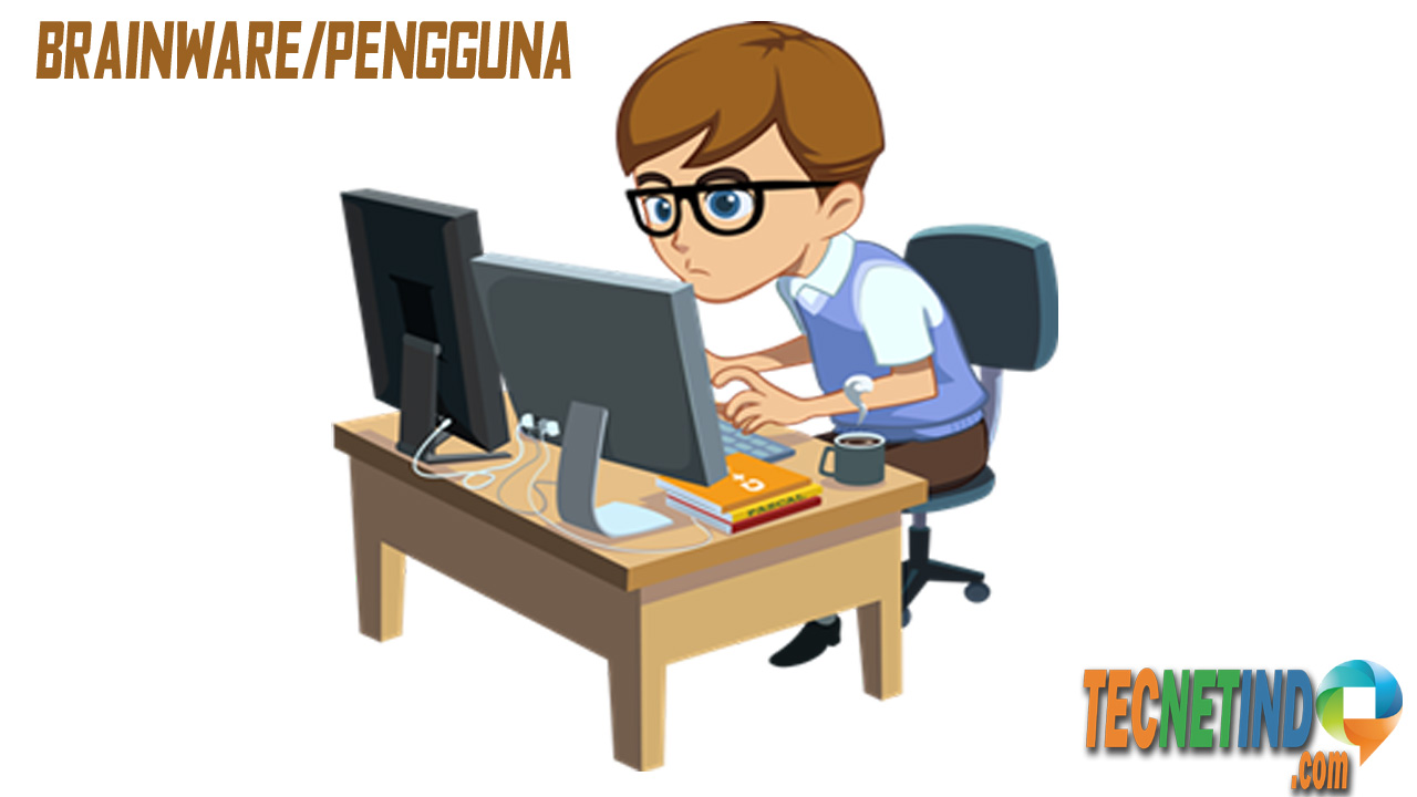 Apa itu Hardware, Software, dan Brainware?