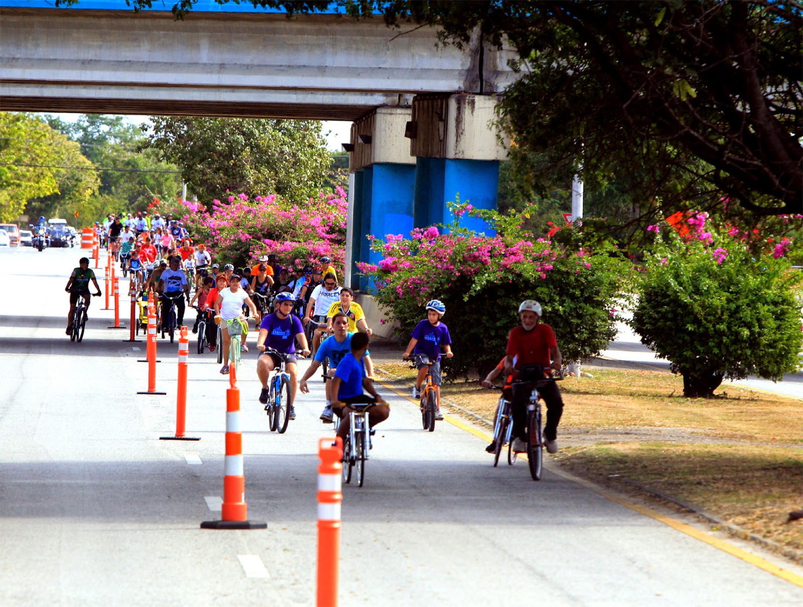 NOTICIAS SUR P.R.: Fallece a los 107 años la líder nacionalista Isabel ...