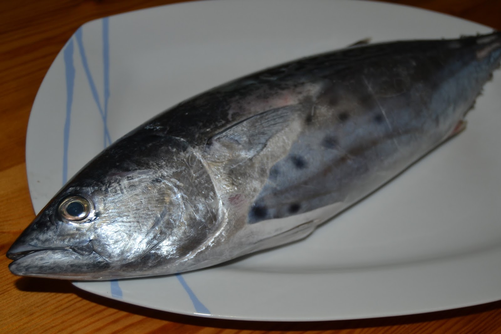 Mi taller de cocina: Caballa o melva en aceite