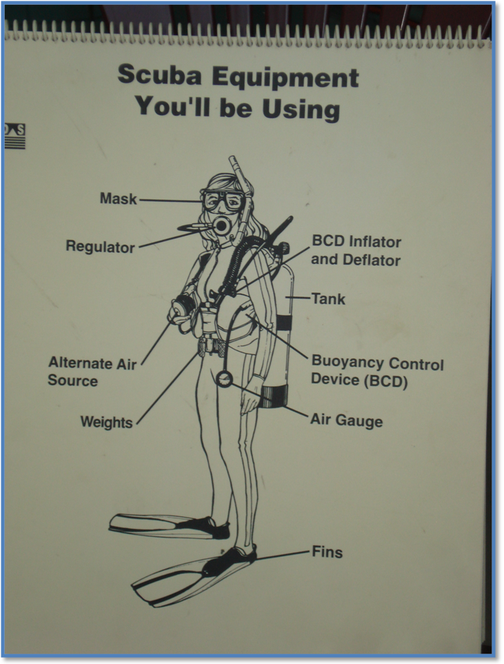 Diving Equipment Diagram at Shanita Matheny blog