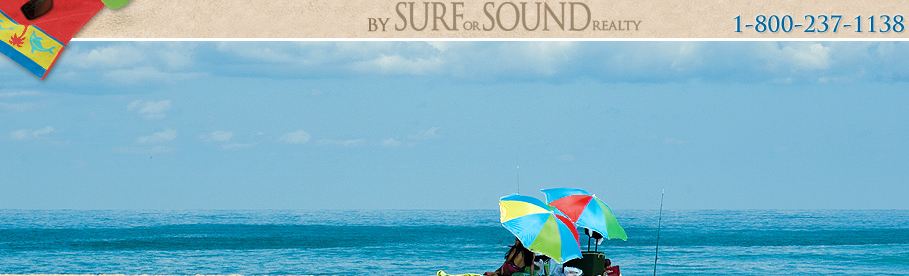 What is There to Do In Jacksonville North Carolina: Shell Combing ...