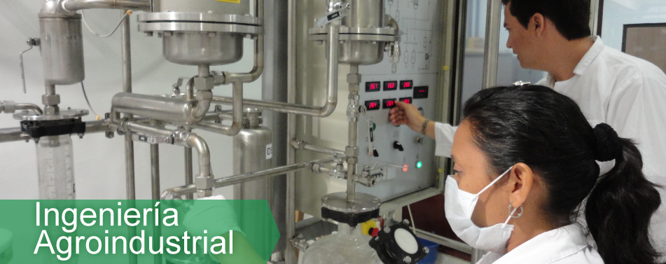LA INGENIERÍA AGROINDUSTRIAL: LA INGENIERÍA AGROINDUSTRIAL