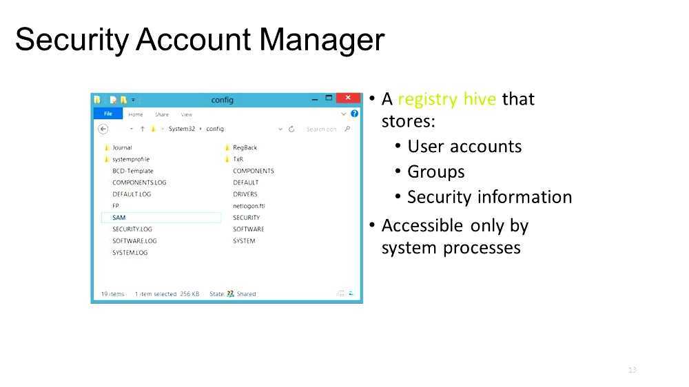 Security Account Manager