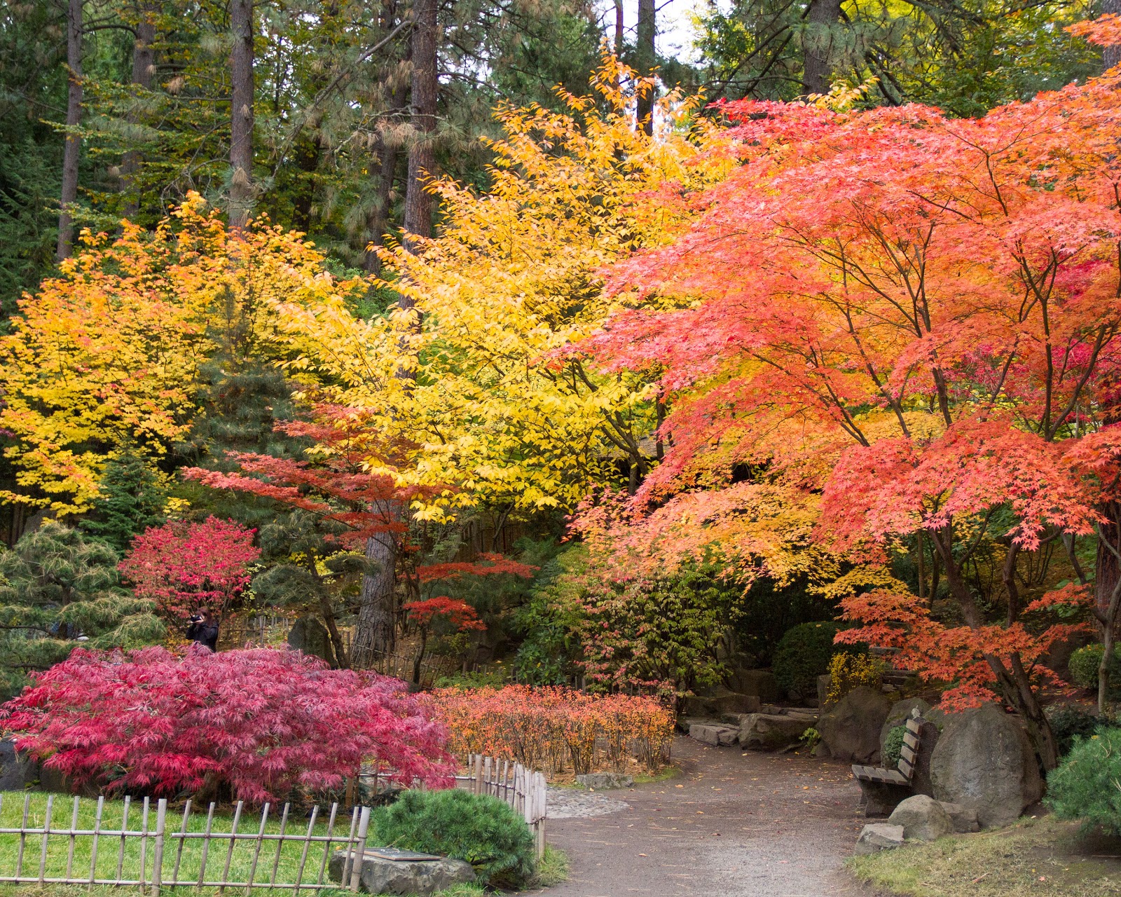 The Paper Boutique: Manito Park