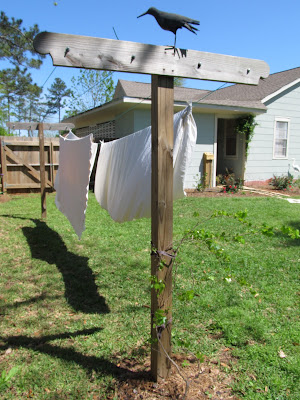 Cottage Hill: Black Bird on my Clothesline