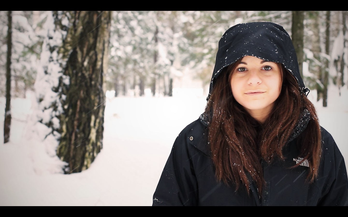 INTERVIEWS IN NARNIA - Creative Muse