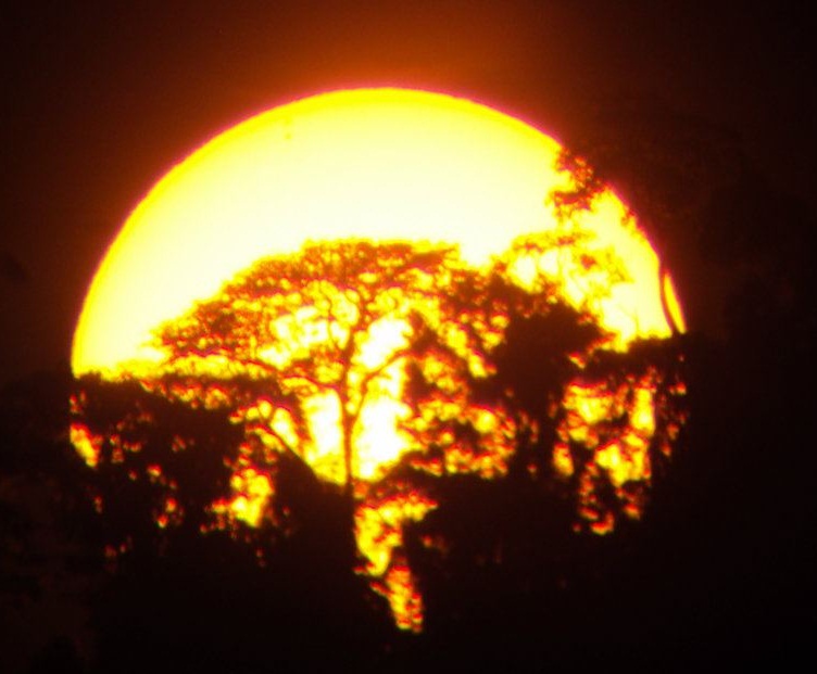 Comunidad Astronómica Aficionada Chilena: EL SOL