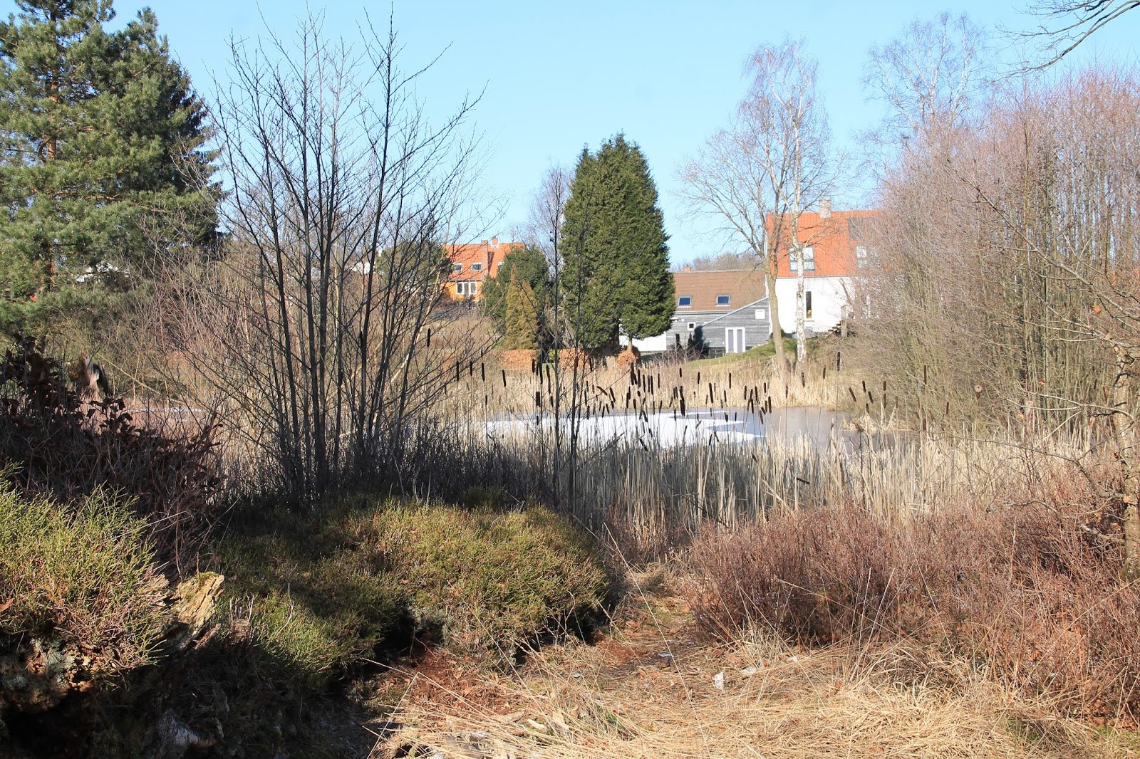 Vandringsløse Tidende: Strødam Naturreservat og Gribskov