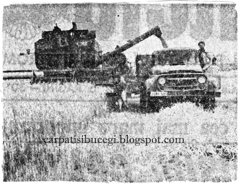 Carpati si Bucegi: SR 113