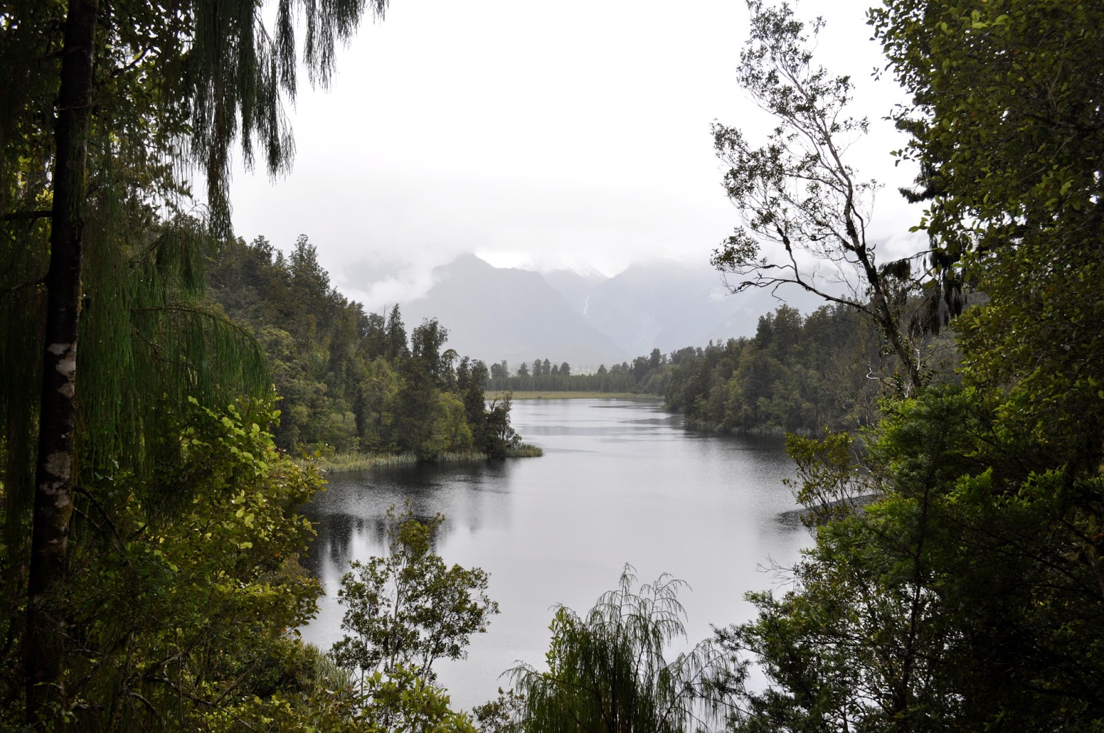 IBM ADVENTURE: Randonnée autour du Lac Matheson - Fox Glacier ...