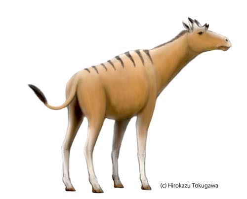 「Extinct Creatures」: シャンシテリウム Shansitherium