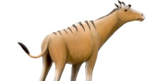 「Extinct Creatures」: シャンシテリウム Shansitherium