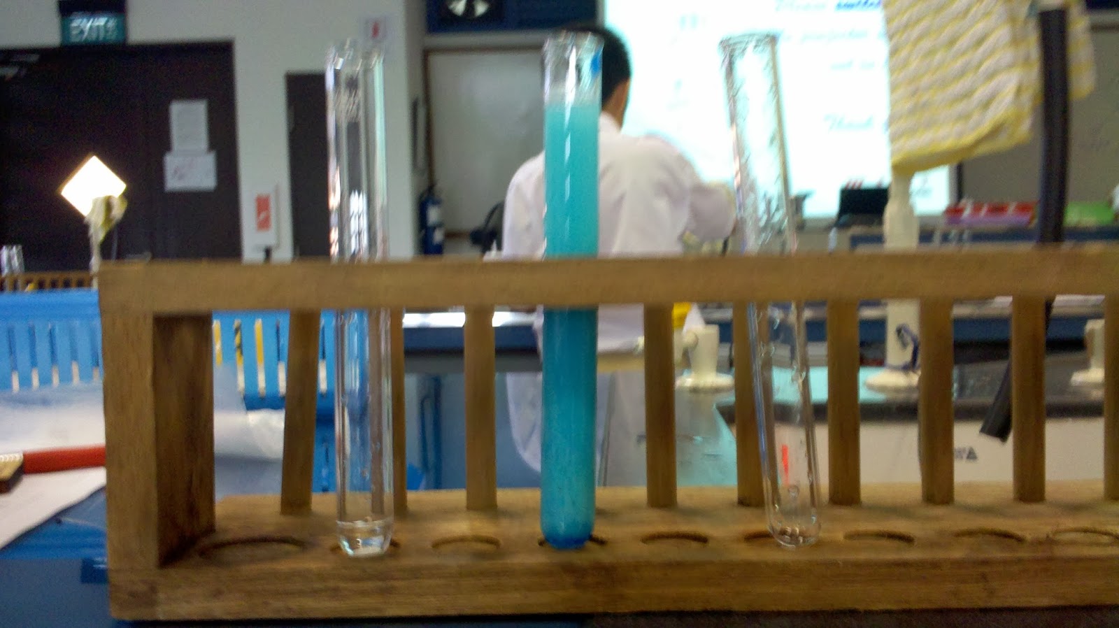 Science for Dummies: 2nd Science Laboratory Lesson ==>Making Observations