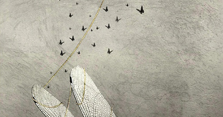 faerie learns to fly: PAIN