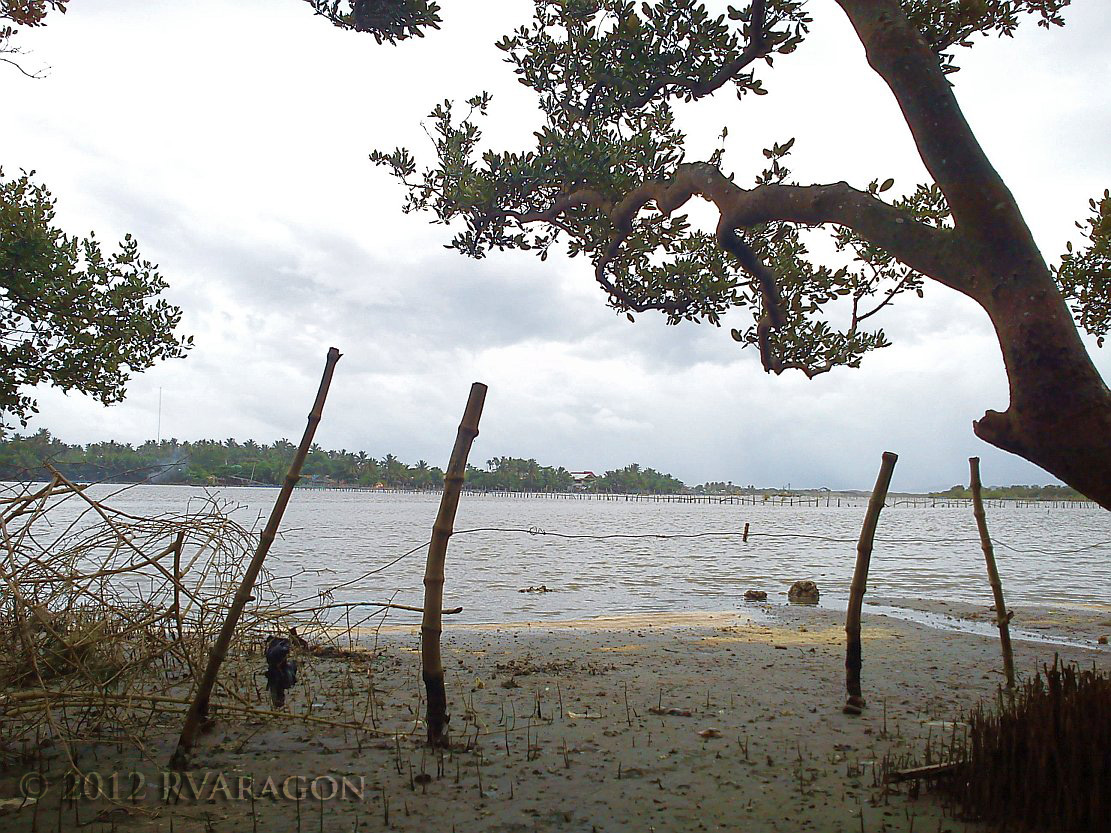 have pens & lens, will travel: Buguey Lagoon