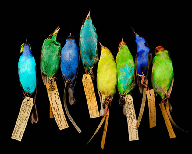 the infinite pattern: mark laita.