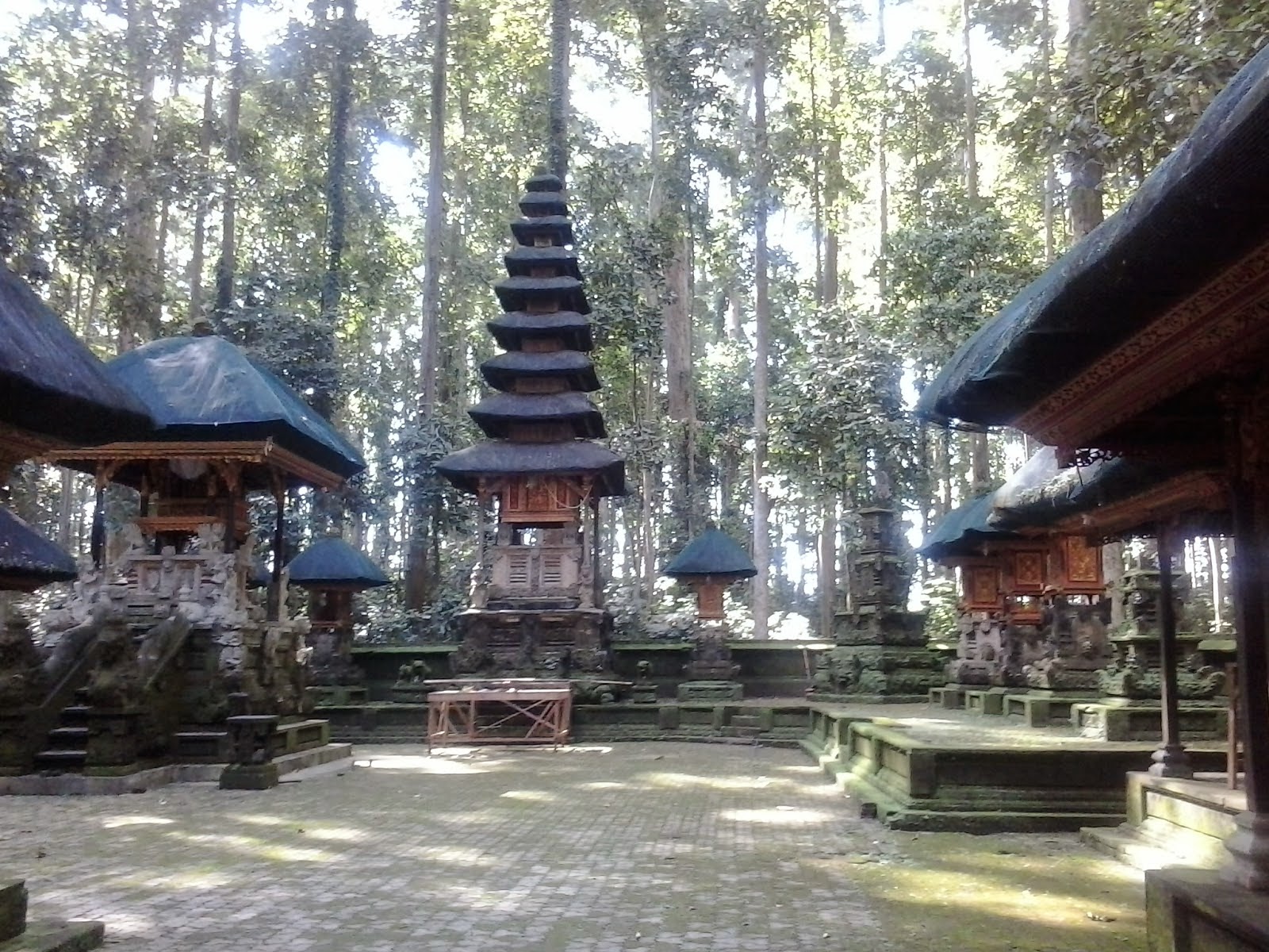 Sangeh, Forest In Habbited Wild Monkey, bali Indonesia | World of Butterfly