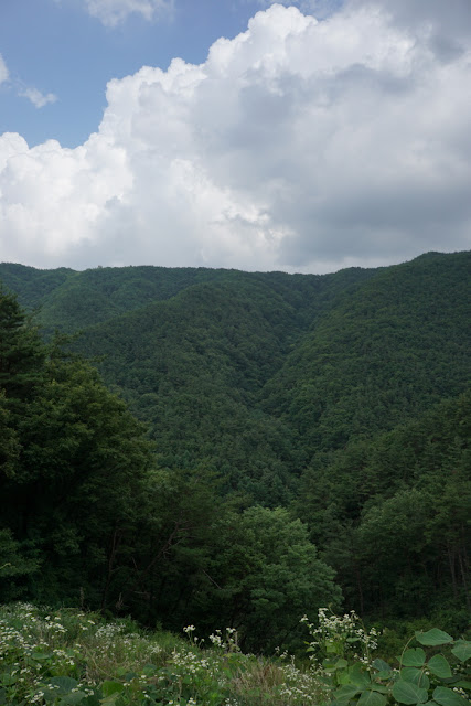 qpapp: 과정리에서 함양군 수동면까지! 강아지 달리와 전국도보여행중 7일차 From Gwajungri to hamyang ...