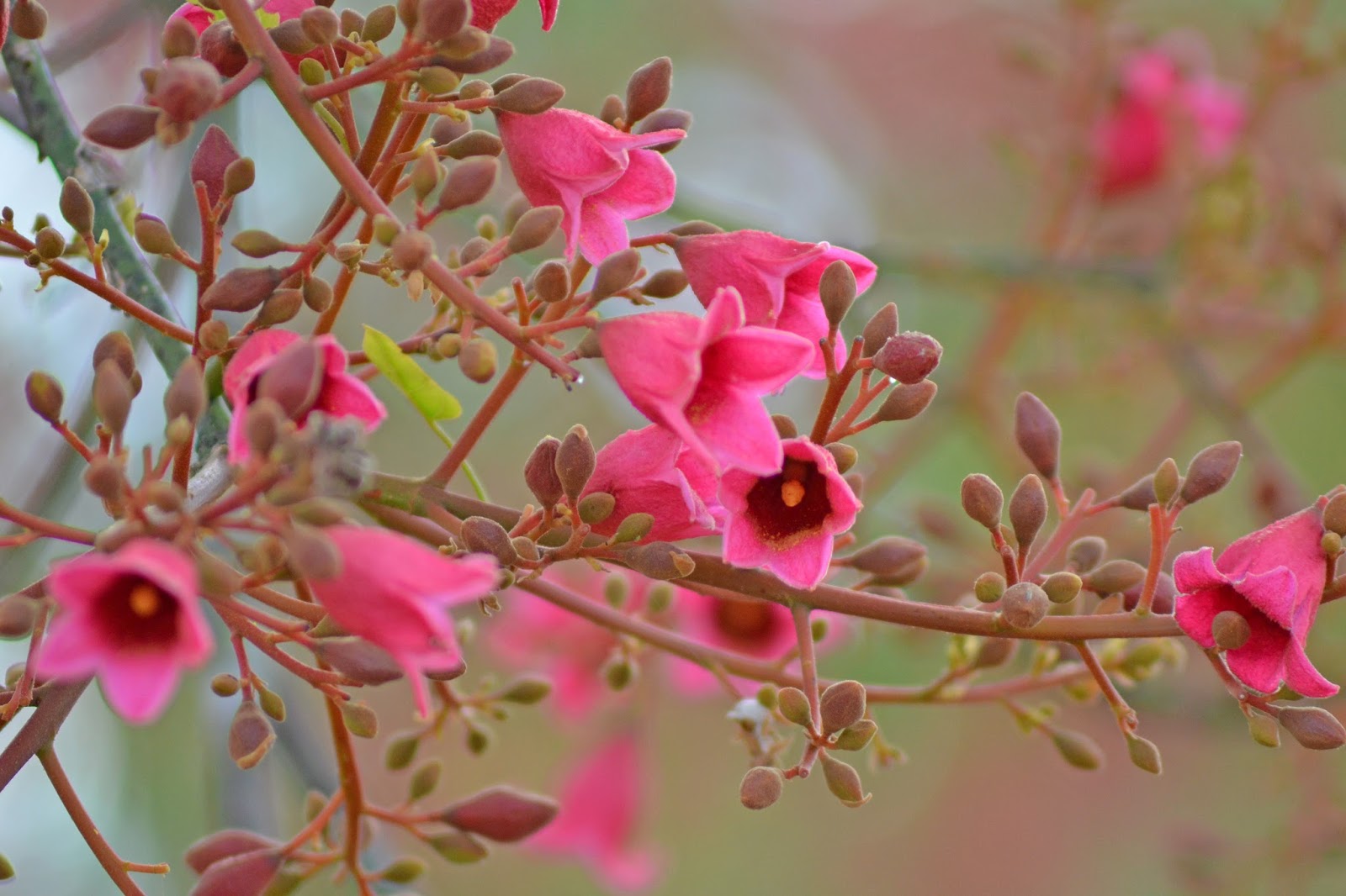 TheA+ Photography: 365 Days In Nature - October 2014