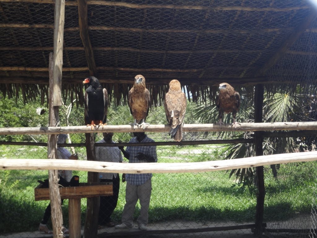 T-E-M-B-E-A Tanzania: Dar Es Salaam Zoo