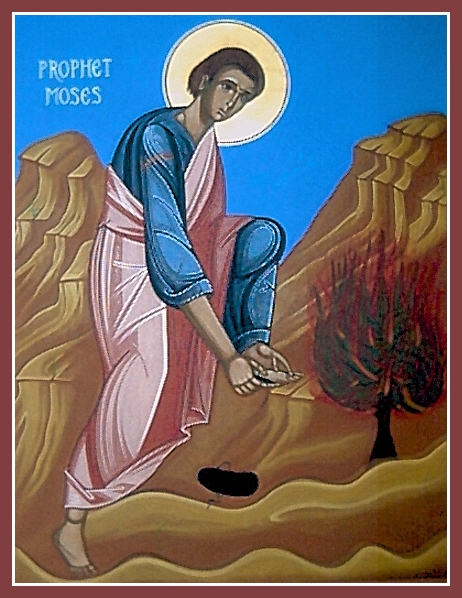 MONKS AND MERMAIDS (A Benedictine Blog): GOD'S PROVIDENCE AND ME