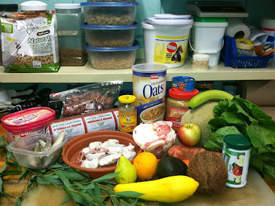 Adventures of a Zookeeper: What Do Zoo Animals Eat?