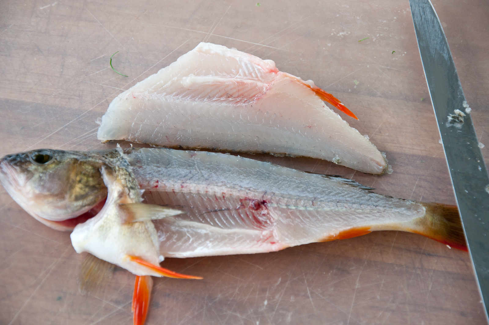 SafariChef: Boneless Perch