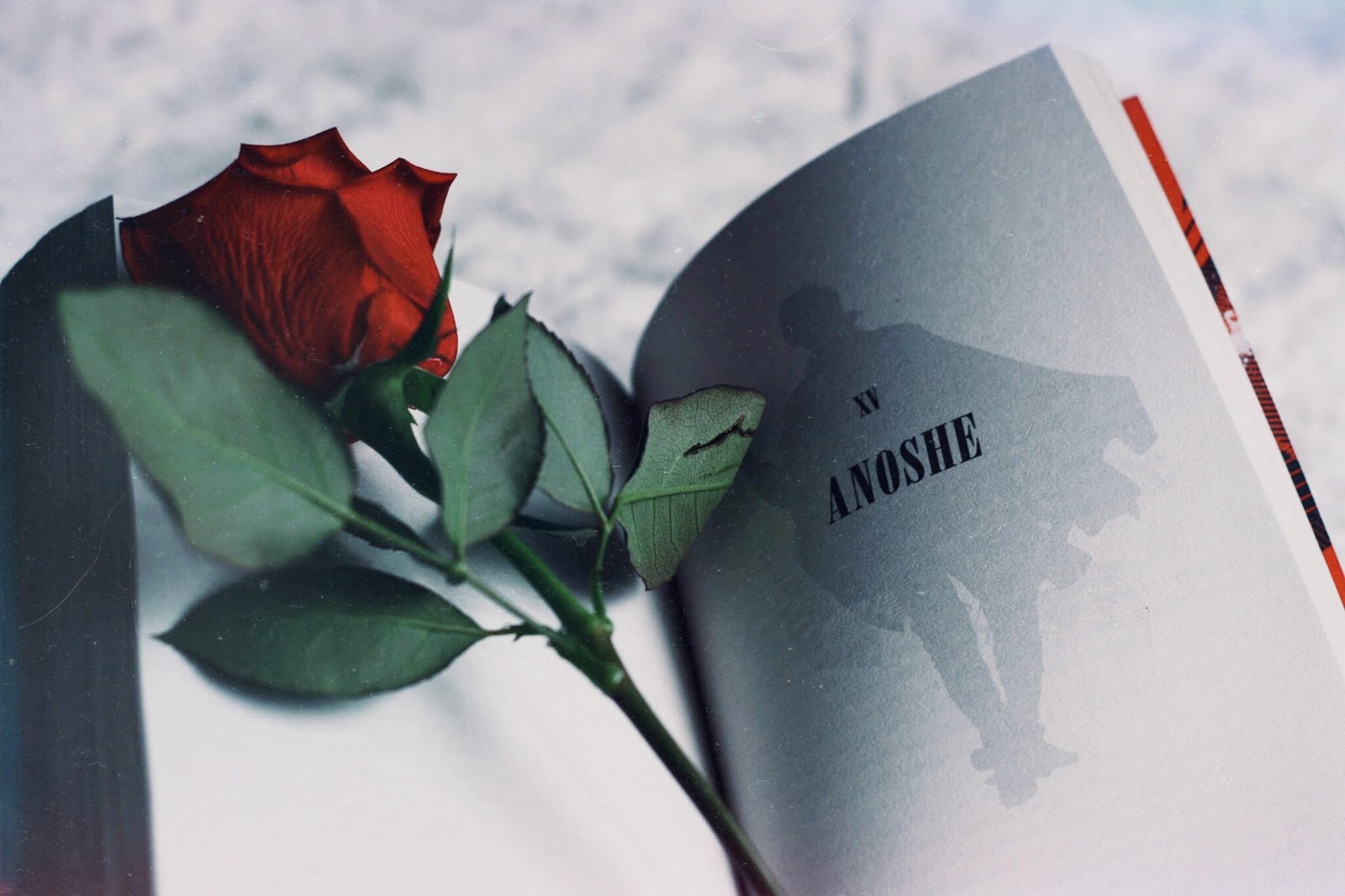 Two Book Thieves: A Conjuring of Light by V. E. Schwab