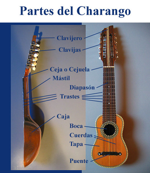 Tutorial Charango