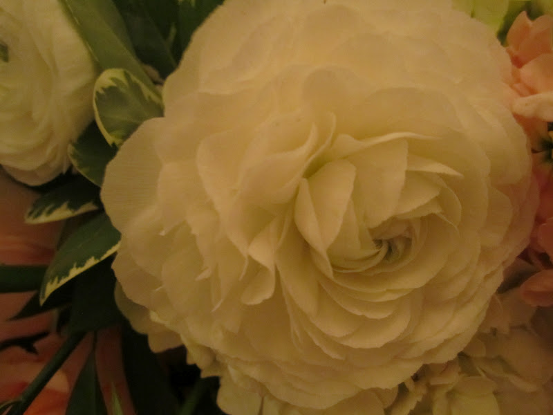 Tish Long Flowers: Isn't It Romantic