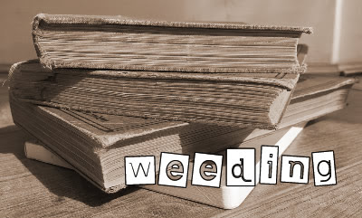 The Secret Side of Collection Development