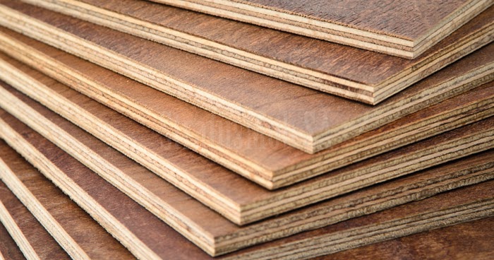 PLACAJ EXTERIOR DIN LEMN DE FAG ~ BricoFlor