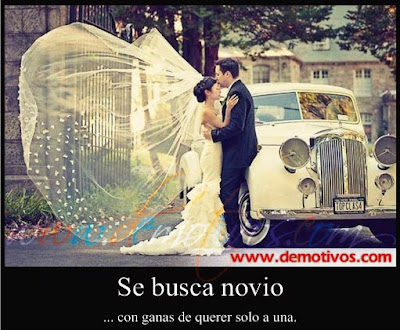 Desmotivaciones de Amor: Se busca novio Con ganas de Querer a una sola.