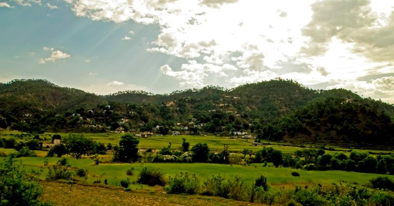 Natureram: The Lush Greenery