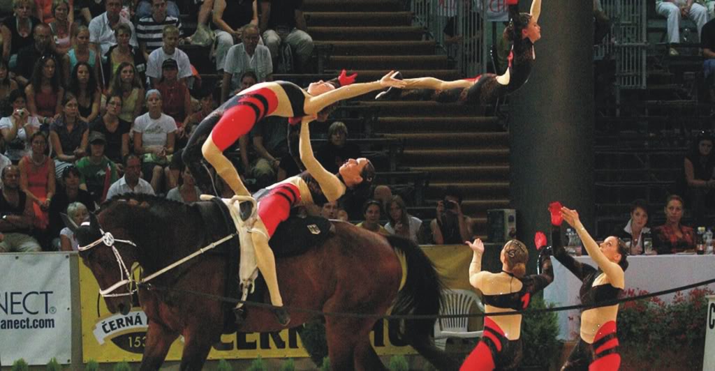 Equestrian Lifestyle: Volting, gimnasia sobre el caballo