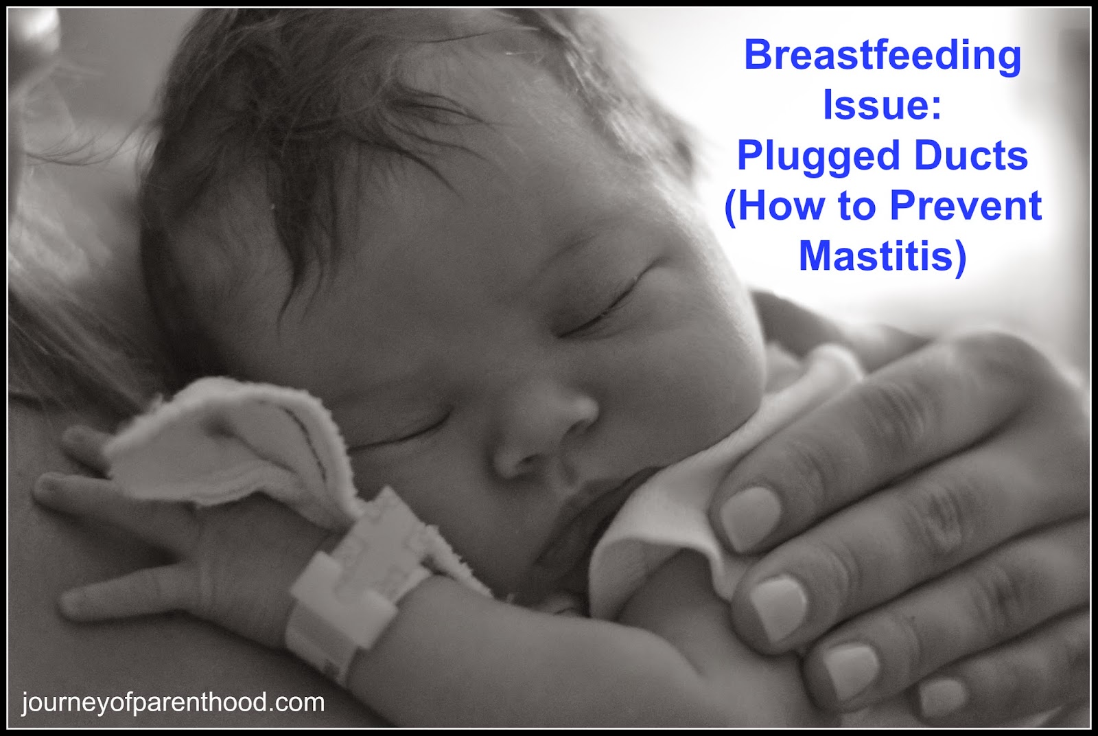 Breastfeeding Issue: Plugged Milk Ducts (Preventing Mastitis)