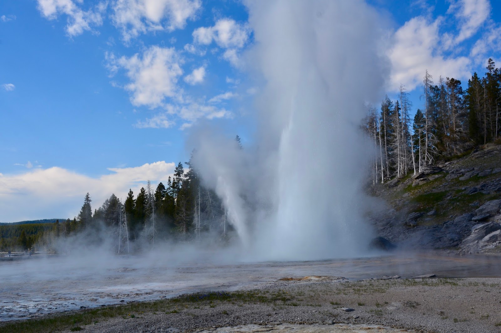 venturing4th: Geysers, Hot Springs, Falls & Bison