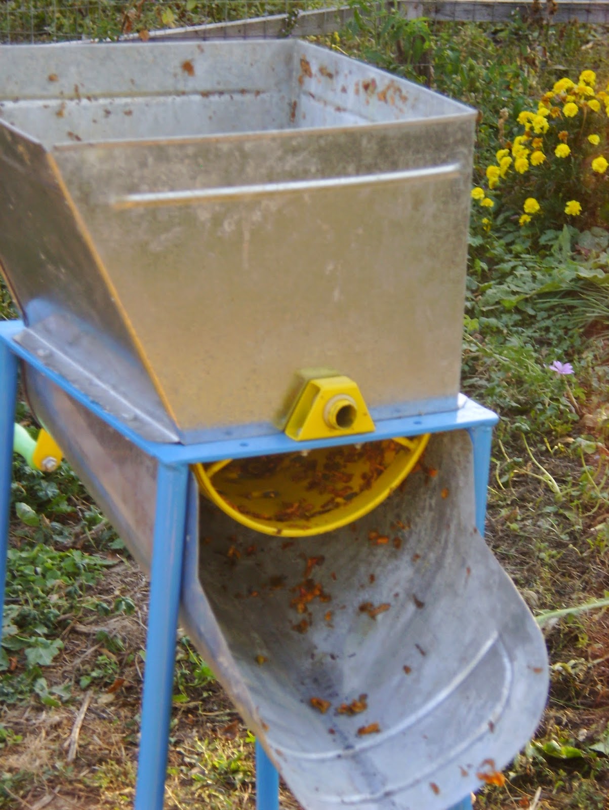 Ferma lu' Moș Ghiță: Chipsuri de mere