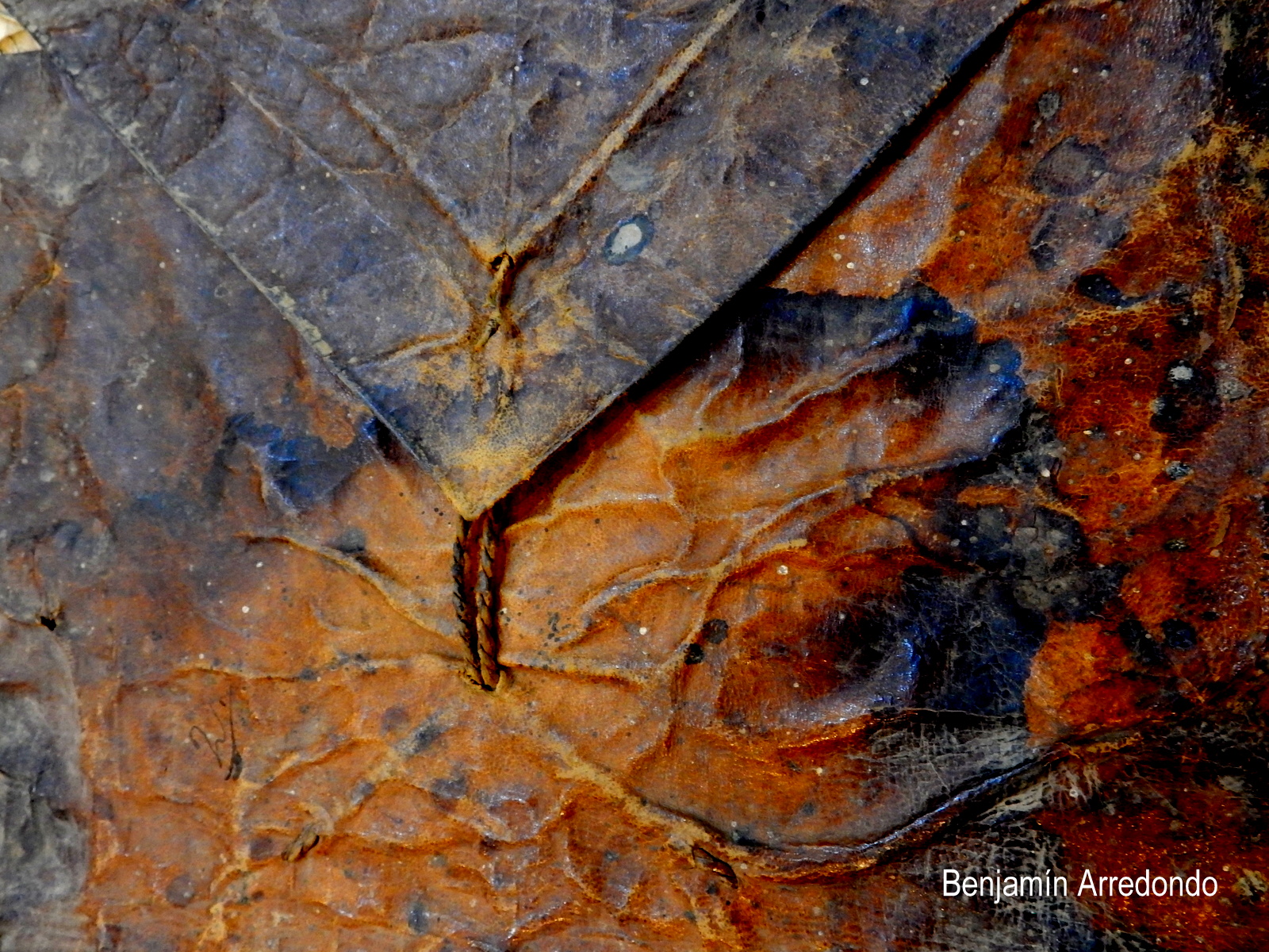 El Bable: Texturas, colores, formas, contraste... algunas fotografías