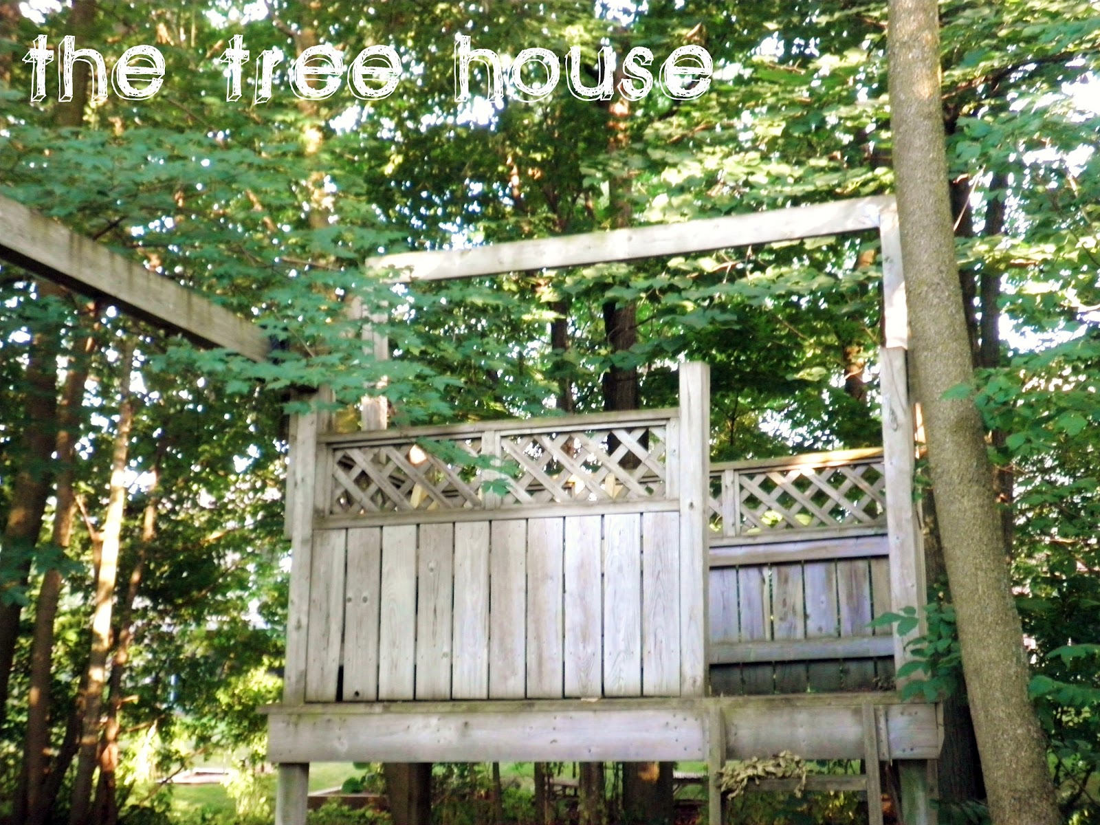 Tiffany Leigh Interior Design: Reveal: Bohemian Treehouse