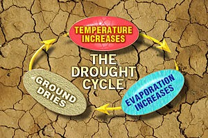 Dry Drought: Causes of a drought