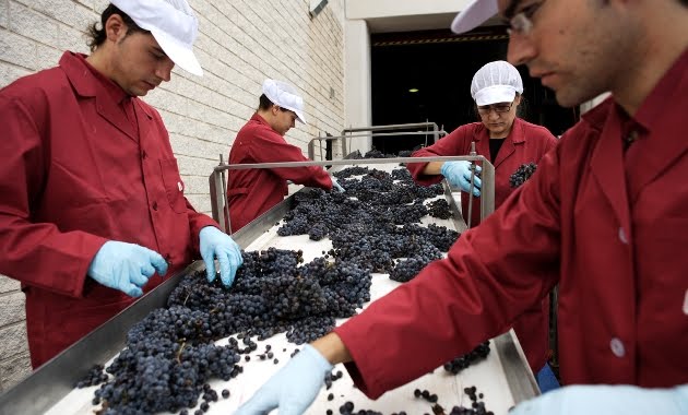 AGRICULTURA BLOGGER Defendamos nuestra Agricultura una forma de vida ...