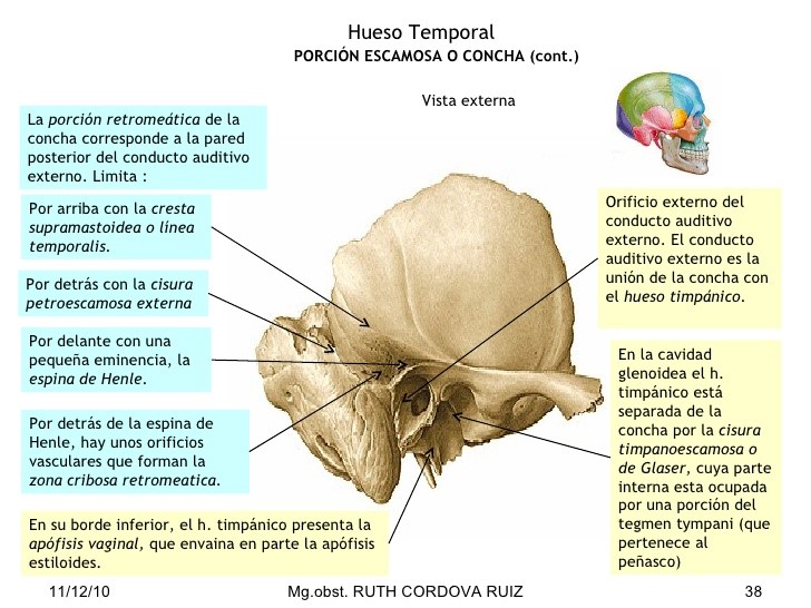 ANATOMÍA HUMANA: julio 2018