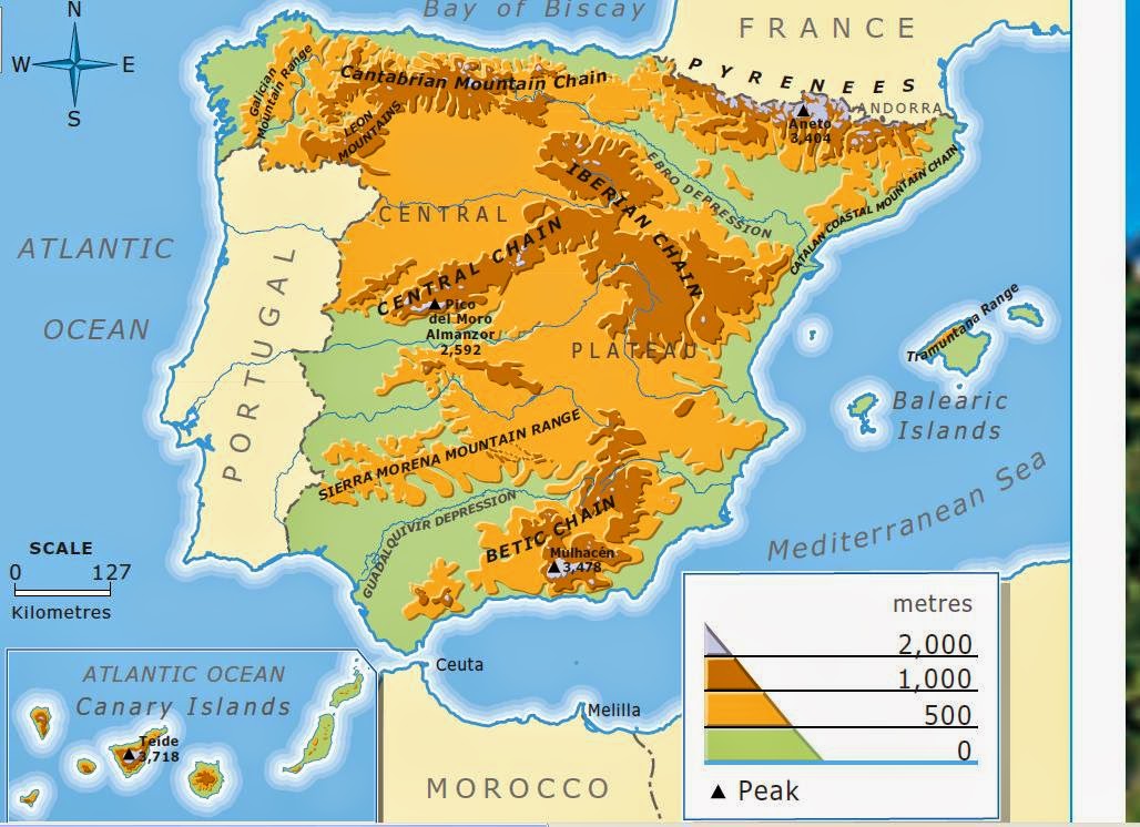 WORKING BEES BLOG: 2014