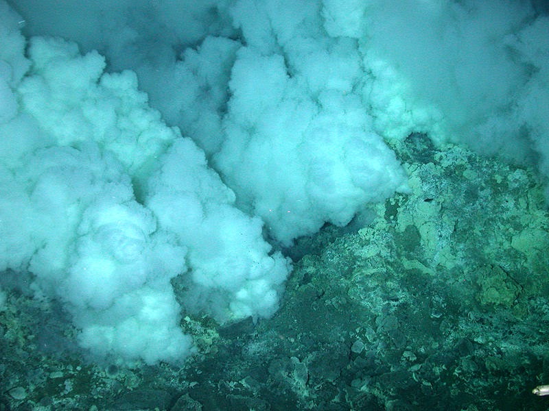 The Agatelady: Adventures and Events: Discovery of Deep Ocean Methane Seeps